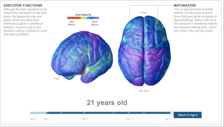 The Growth and Development of a Teenager’s Brain